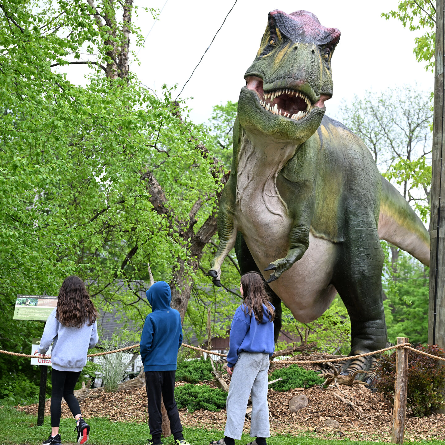 Dinosaurs on display at Utica Zoo | Entertainment/Life | romesentinel.com