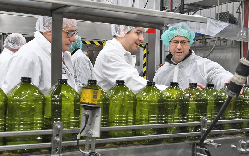 Sovena sets record for olive oil sales | Business | romesentinel.com