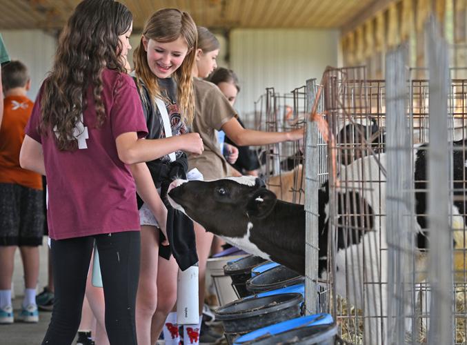 Farm Fest takes kids out for a day on the farm in Marcy | News ...