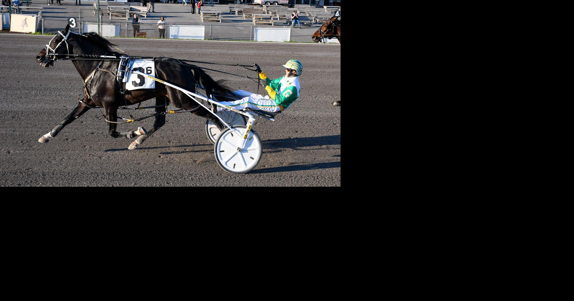 Natameri captures Open Pace at Vernon Downs | Sports | romesentinel.com