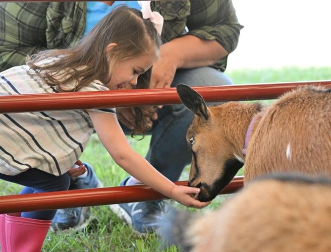 Farm Fest takes kids out for a day on the farm in Marcy | News ...