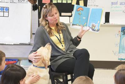 Therapy dogs bring comfort & joy to New Hartford school | News | romesentinel.com