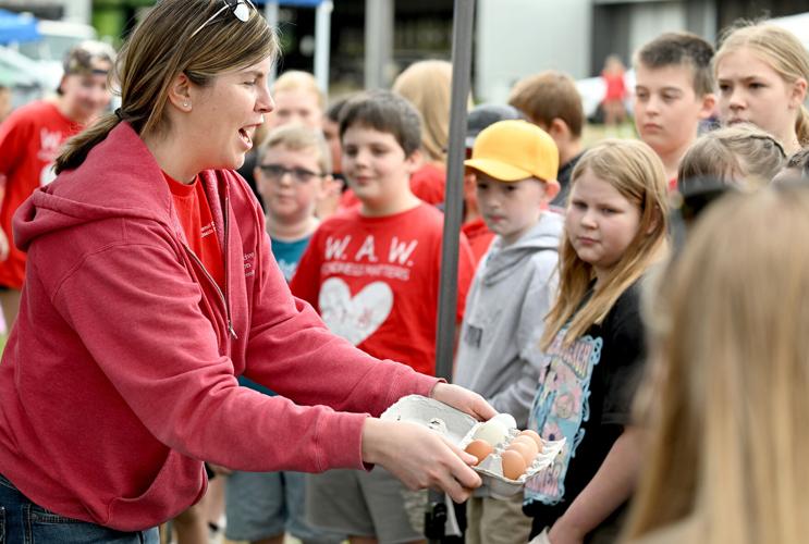 Farm Fest event in Marcy brings classrooms to the dairy farm | News ...
