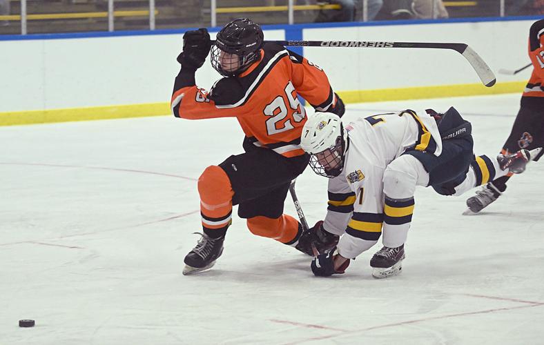 RFA hockey suffers first league loss, 3-1 at West Genesee | Sports ...