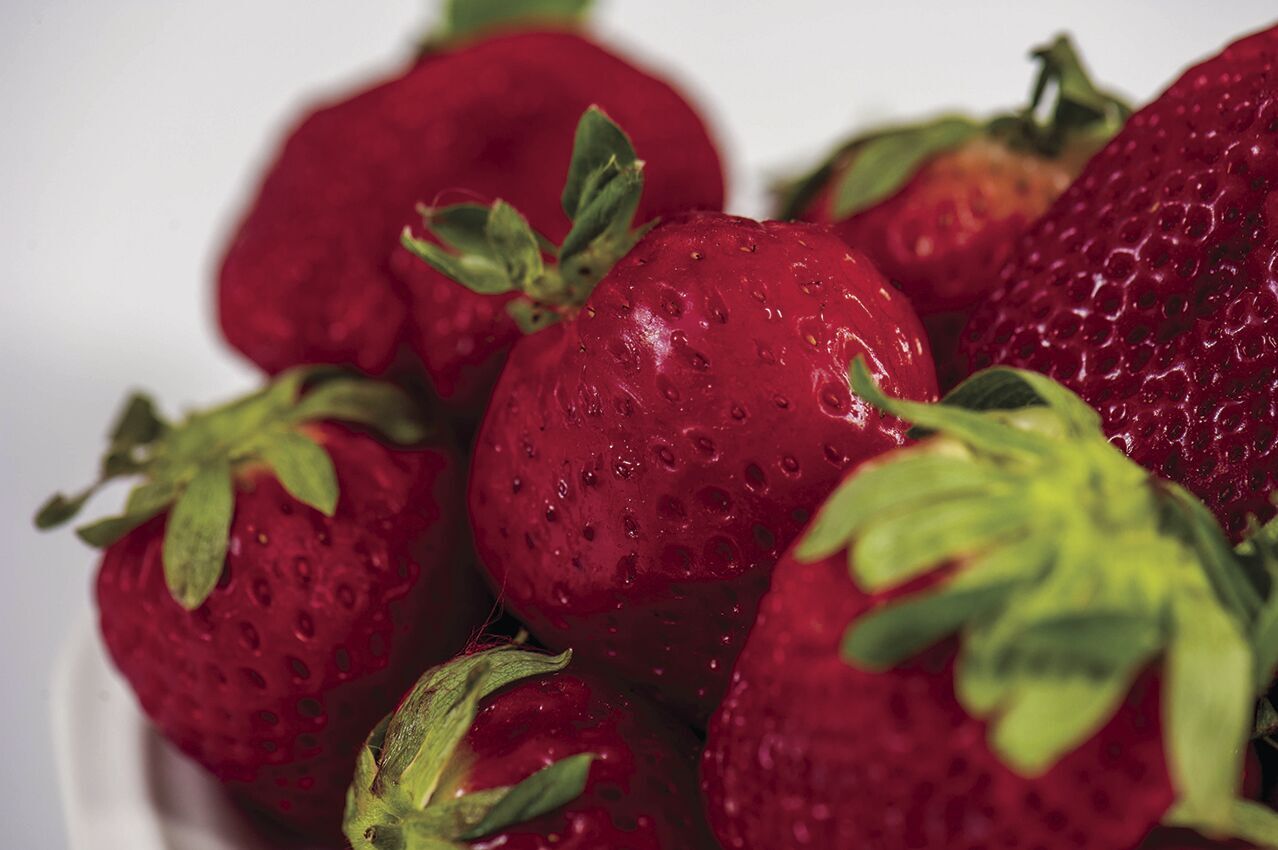 Annual Strawberry lawn social at Stittville Methodist Church | Religion ...