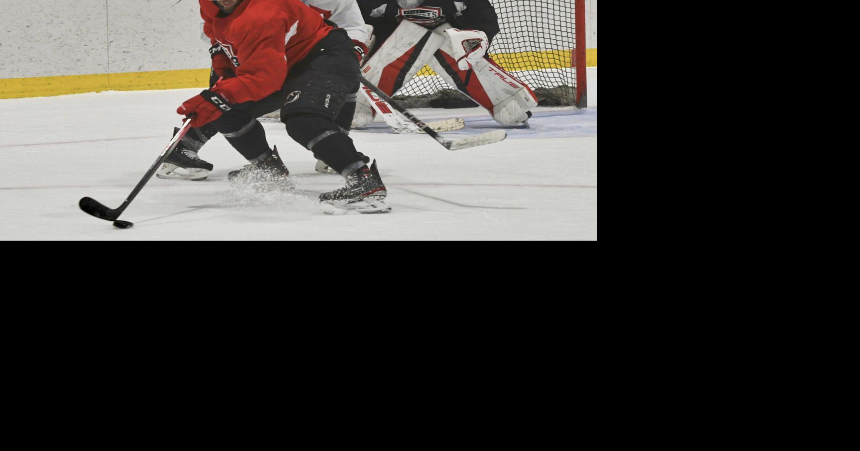 Utica Comets' Justin Dowling gets call-up; Topias Vilen back | Sports ...