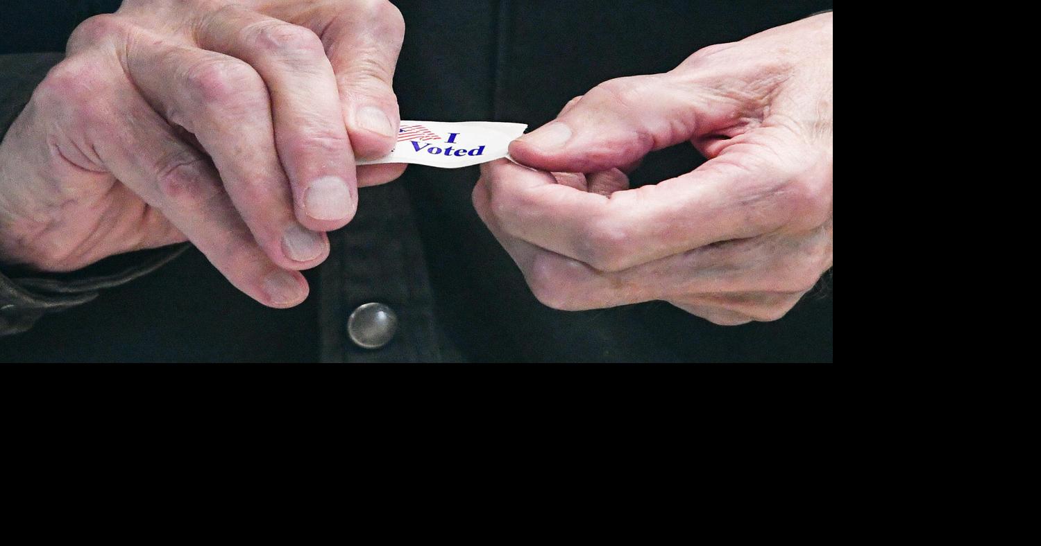 Local board of elections announce early voting sites, times | News ...