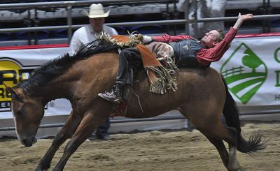 Utica Stampede Rodeo and Expo set to return | News | romesentinel.com