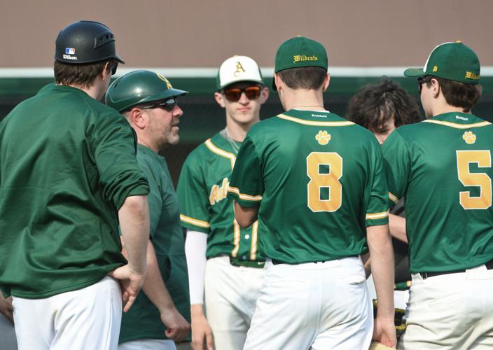 Nicholas Service helps Frankfort-Schuyler baseball team win | Sports ...