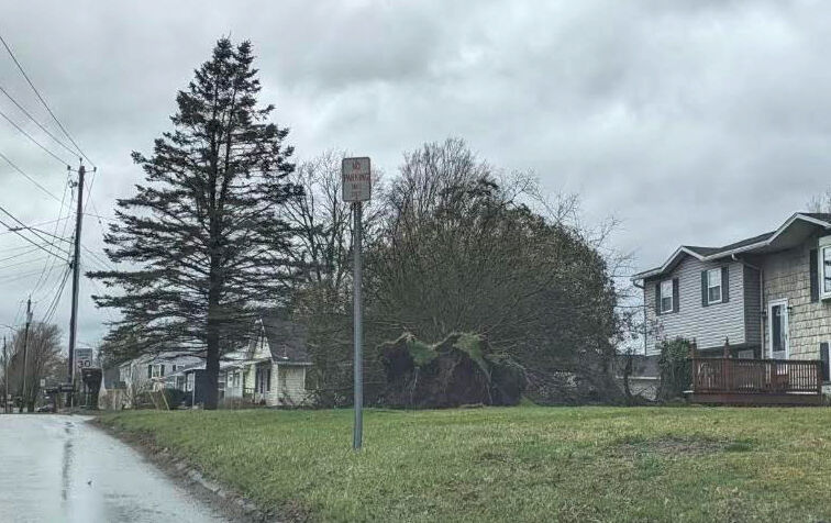 Storms knock down trees, power lines across Oneida County; National Grid provides safety tips ...