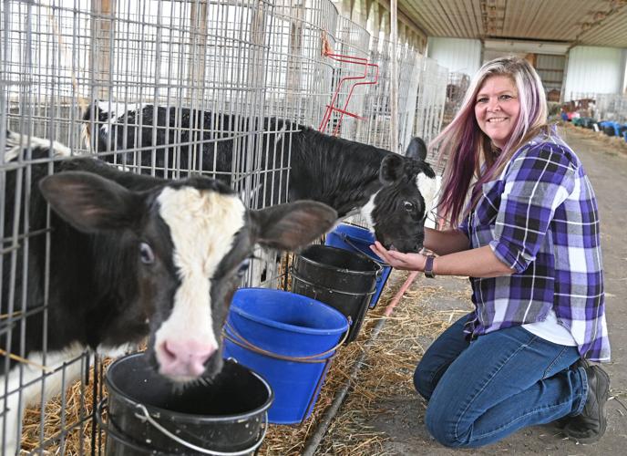 Marcy farm shows how busy spring is for area farmers | News ...
