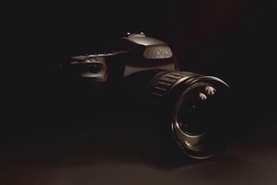 Nature photographer to share tips, techniques | Photography ...