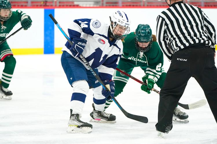 Former Clinton hockey standout makes college commitment | Sports ...