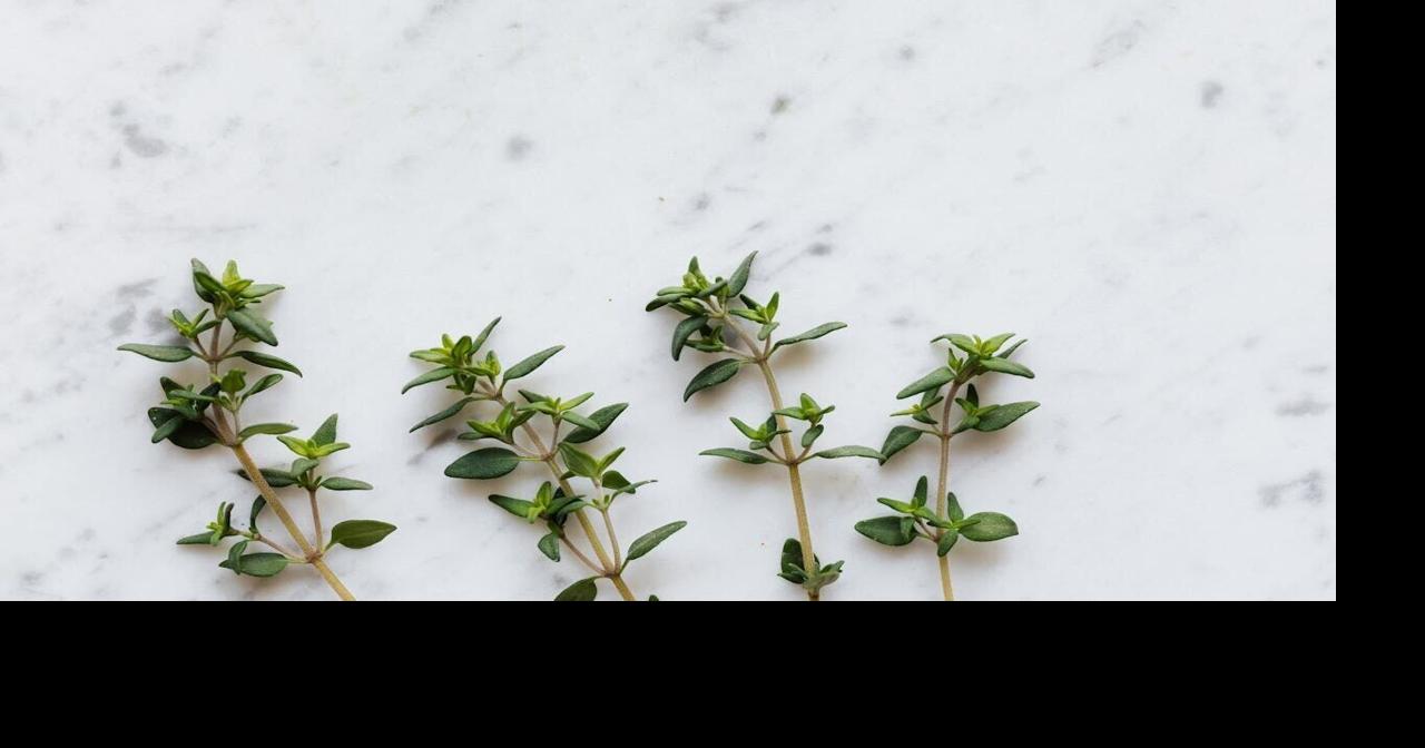 It’s about thyme? Scientists unlock herb’s healing power | Health ...