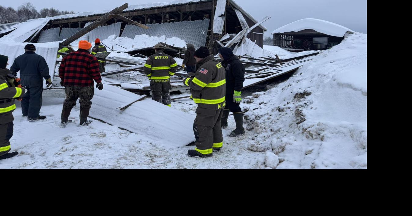 Cows trapped in two separate barn collapses | Agriculture ...