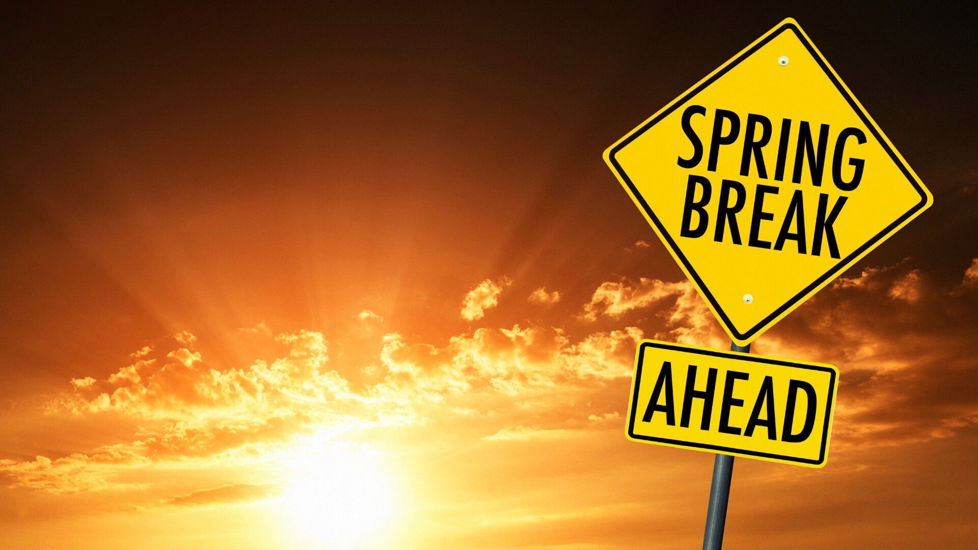 2025 Spring Break Guide: CNY school & college recess dates | News ...