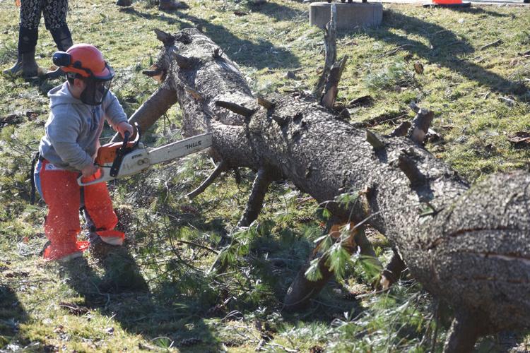 Herkimer BOCES students remove fallen tree on BOCES property | News | romesentinel.com