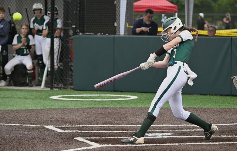 Hamilton softball claims state title with walkoff win | Sports ...