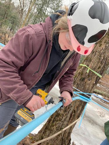 VVS FFA gears up for annual Maple Weekend festivities | News ...