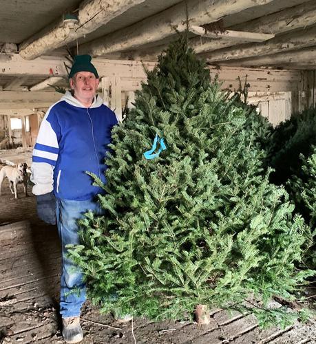 K of C Christmas tree sale Dec. 2 | Boonville Herald | romesentinel.com