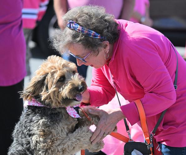 Human pink ribbon formed in Utica to fight breast cancer ...