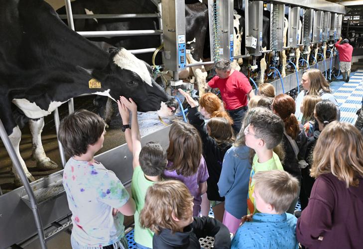 Farm Fest event in Marcy brings classrooms to the dairy farm | News ...