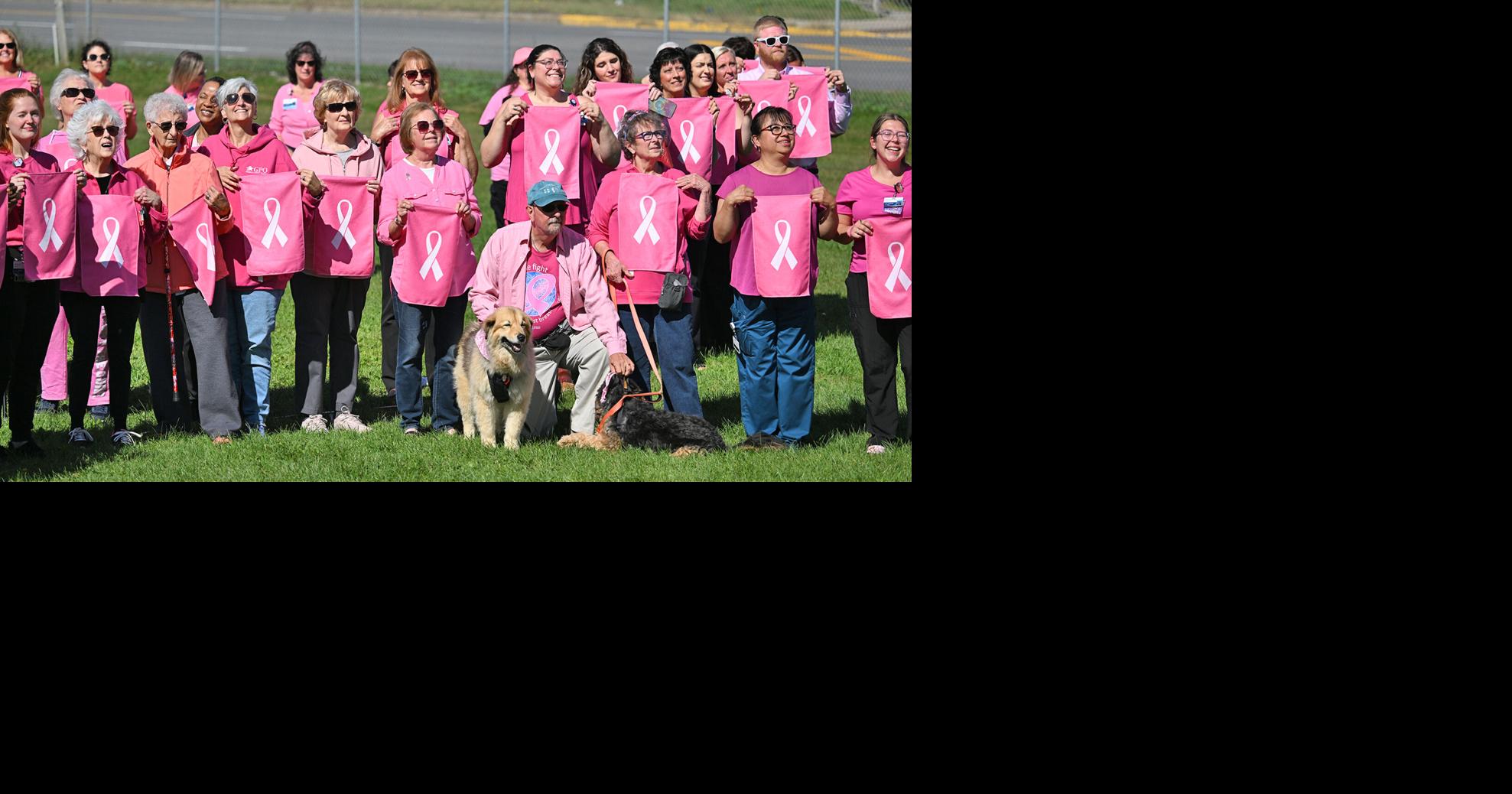 Human pink ribbon formed in Utica to fight breast cancer ...