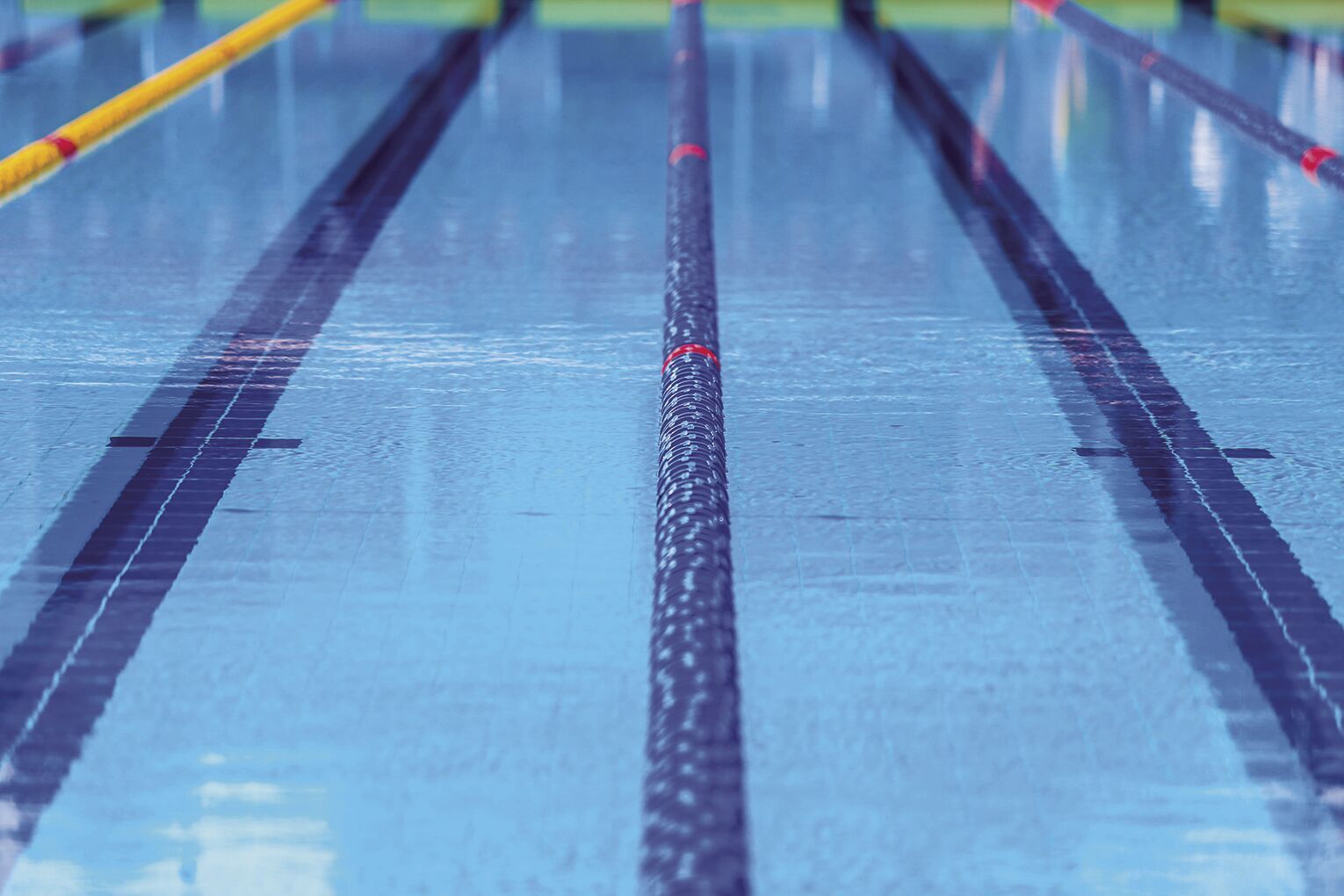 Hamilton swimming ranked 23rd in Division III dual meet poll | Sports ...