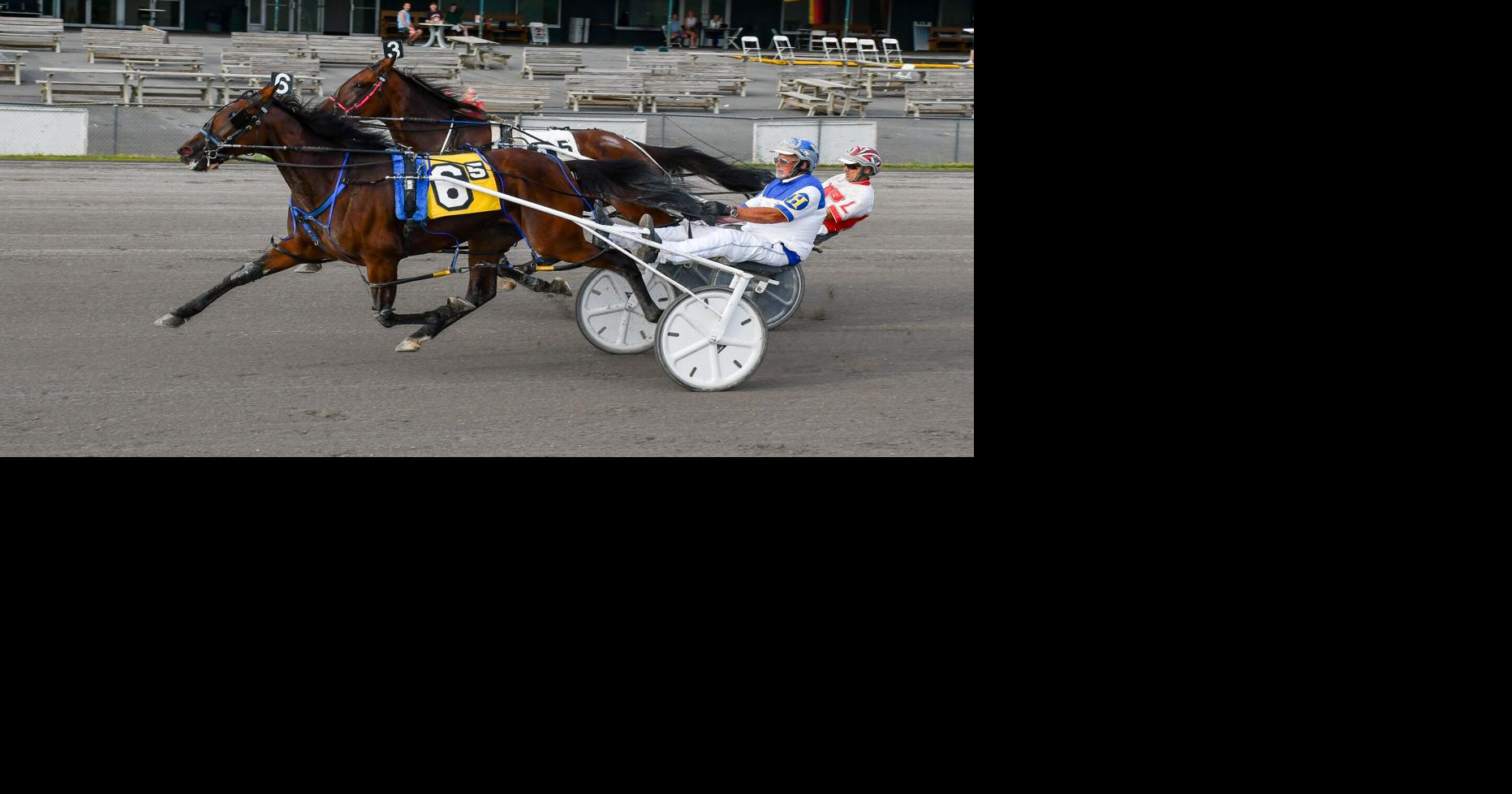 Dizzy Lizzy captures feature win at Vernon Downs | Sports ...