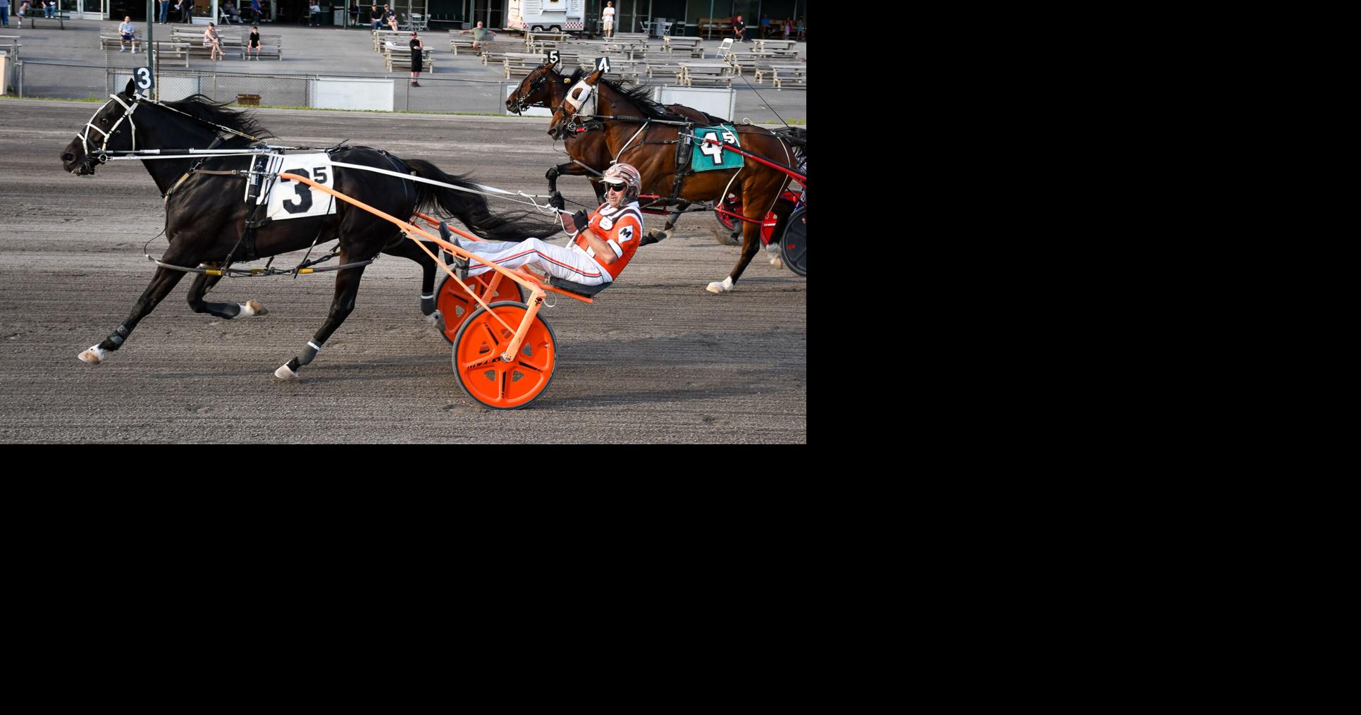Natameri captures featured Open Pace win at Vernon Downs | Sports ...