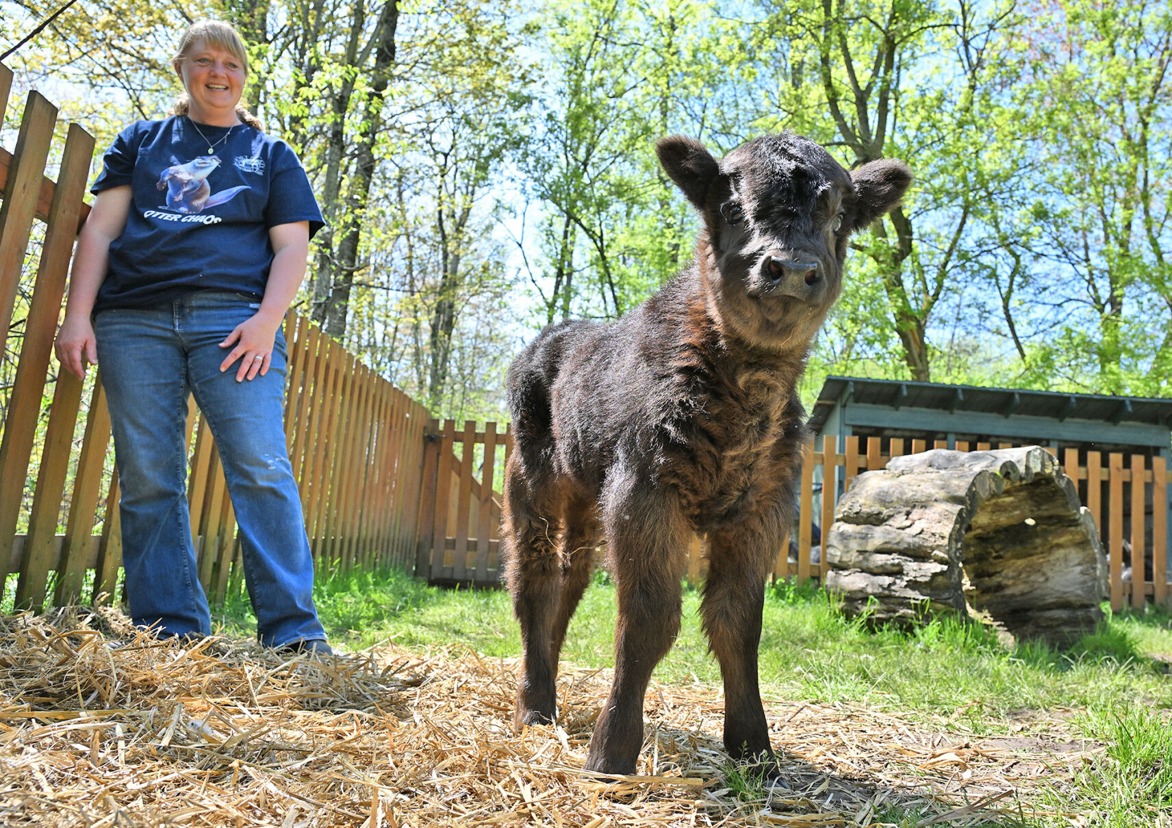 YEAR IN REVIEW: May in photos | Multimedia | romesentinel.com