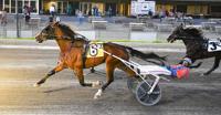 Dewey Arnold with Leon Bailey wins Open Trot at Vernon Downs | Sports ...
