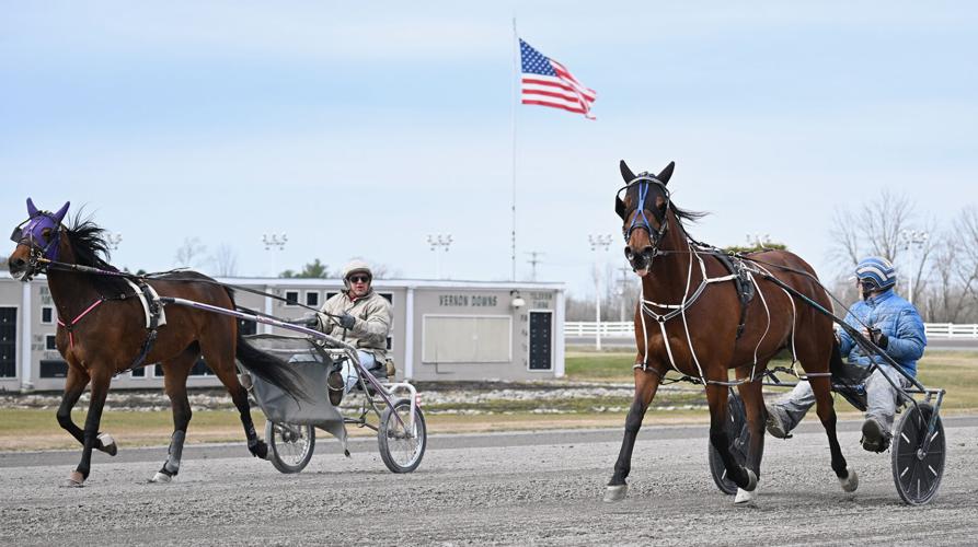 72nd harness racing season underway at Vernon Downs | News ...