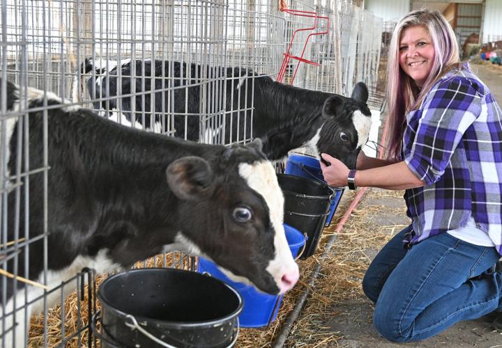 Marcy farm shows how busy spring is for area farmers | News ...
