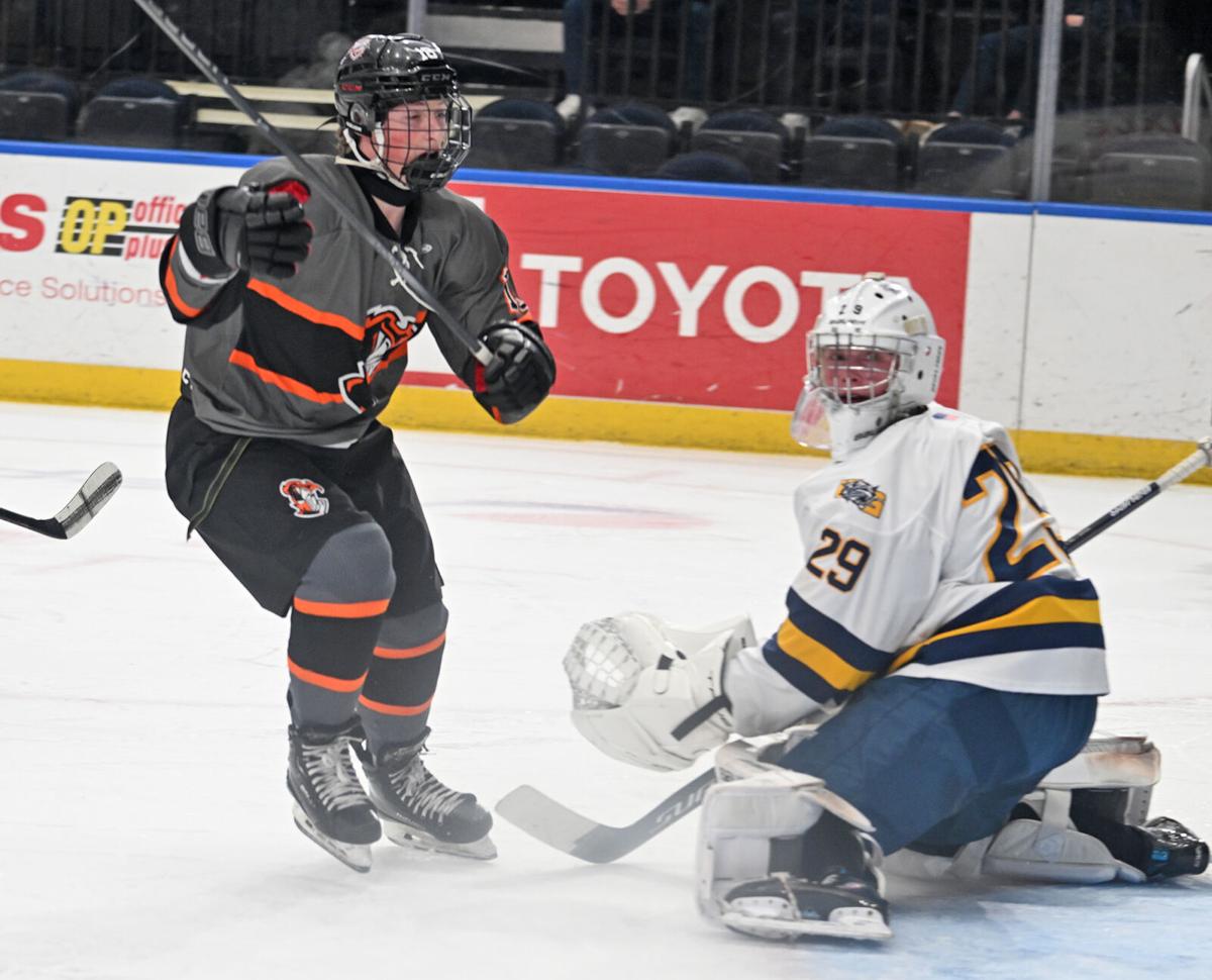 Page A11 | e-Edition | romesentinel.com