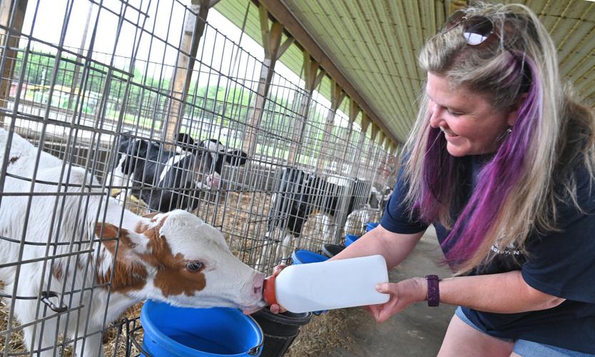 Farm Fest returns with plenty of fanfare | News | romesentinel.com