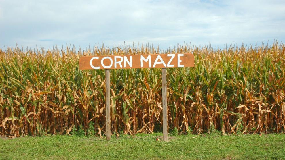 Enter if you dare: 8 CNY corn mazes to explore this fall ...