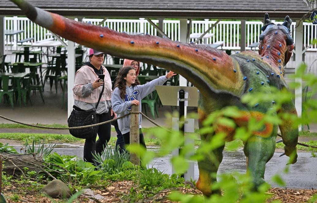 Dinosaurs on display at Utica Zoo | Entertainment/Life | romesentinel.com