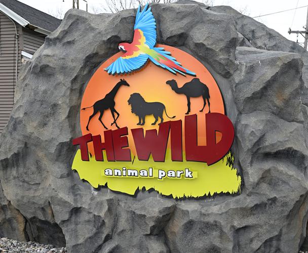 Book exotic animal encounters at the Wild in Chittenango ...