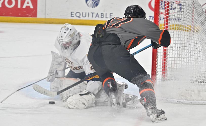 Rome Free Academy hockey falls in OT in title game | High School ...