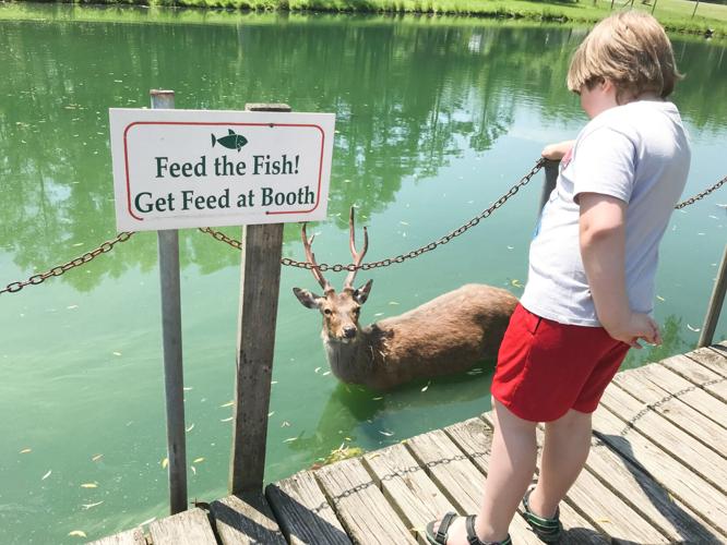 Fort Rickey celebrates end of summer | Entertainment/Life ...