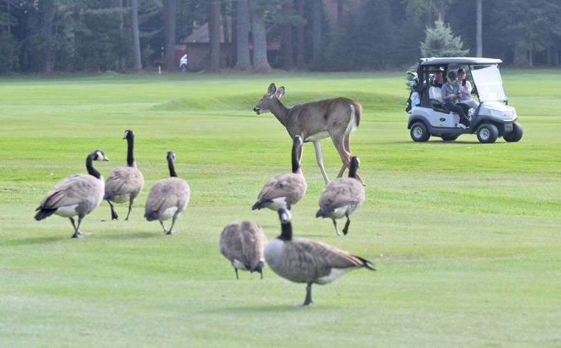 Thendara Golf Club: A fair challenge | Sports | romesentinel.com