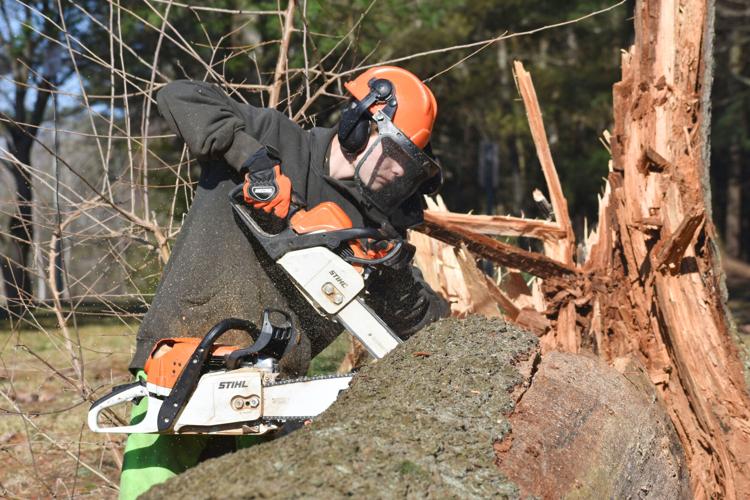 Herkimer BOCES students remove fallen tree on BOCES property | News | romesentinel.com