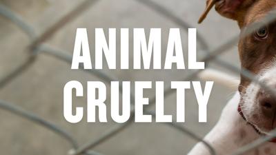 Westmoreland Man Arrested After Dogs Found in Dumpster | News ...