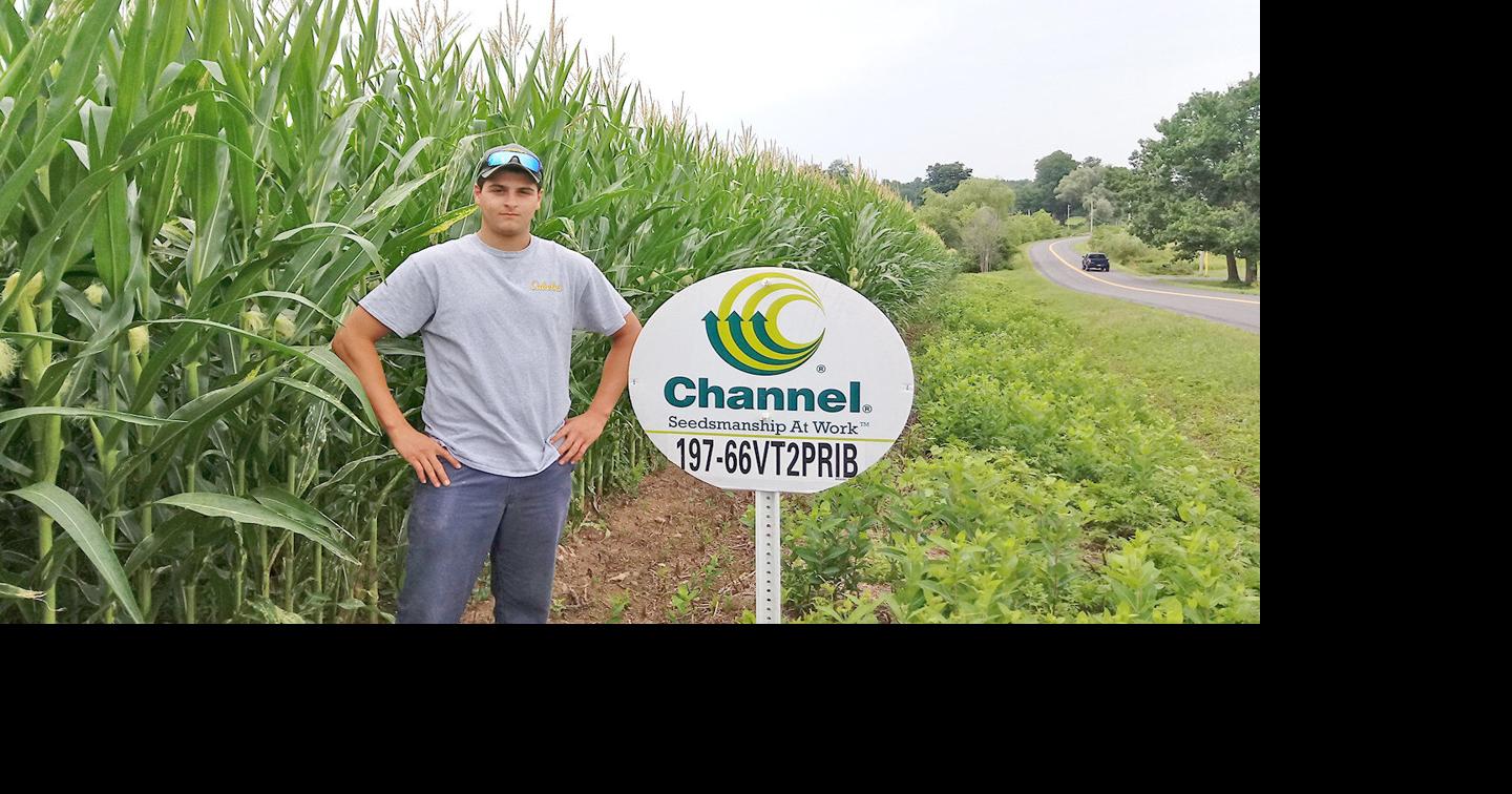 Mike Vecchio, an American farmer | | romesentinel.com