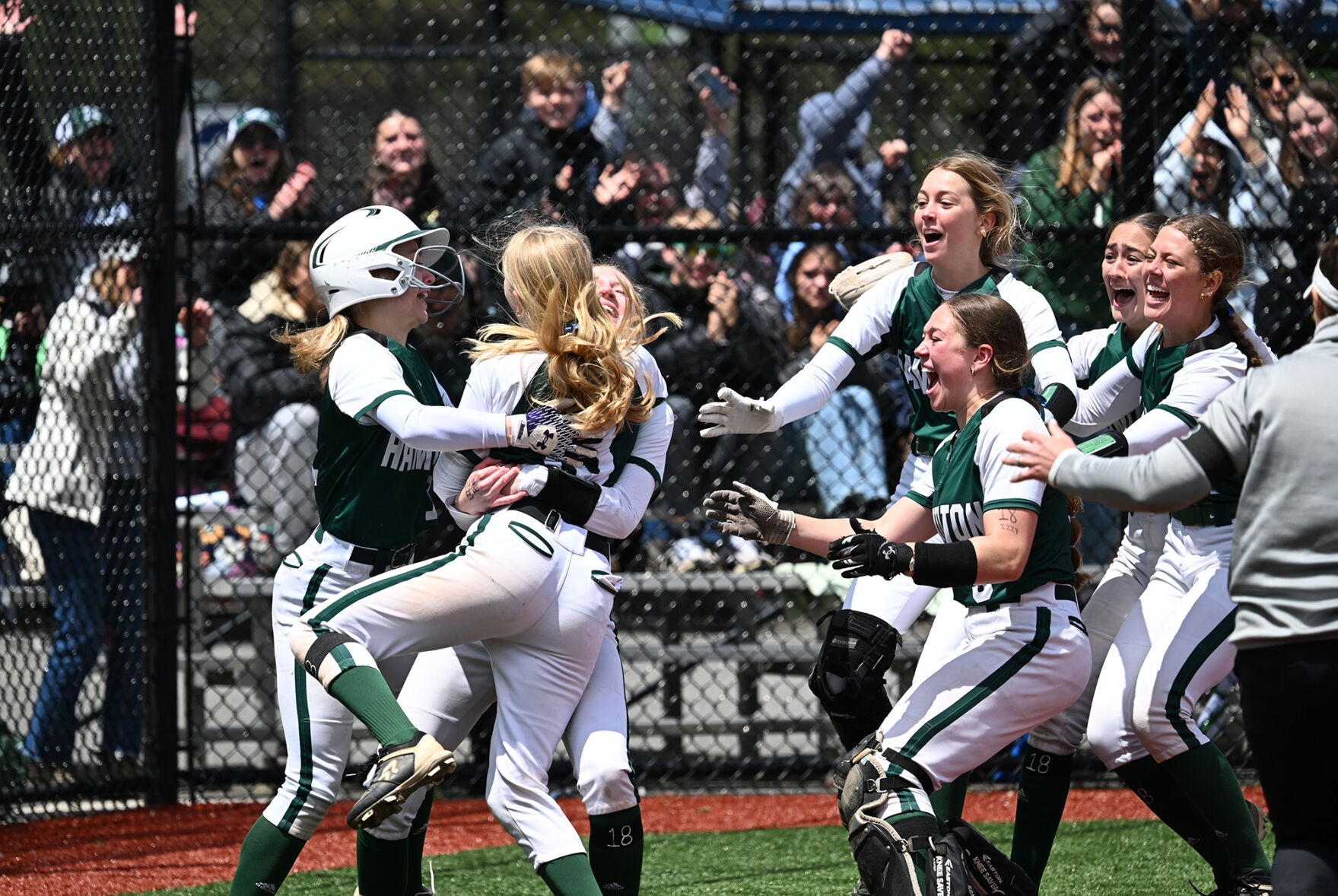PHOTO GALLERY: Hamilton softball wins the Section III Class D ...
