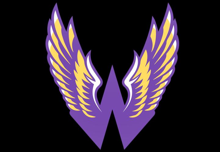 New logos for Waterville Eagles mascot revealed by students | News ...