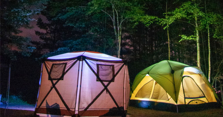 DEC seeks camp ambassadors for upcoming season | Local charity and non ...