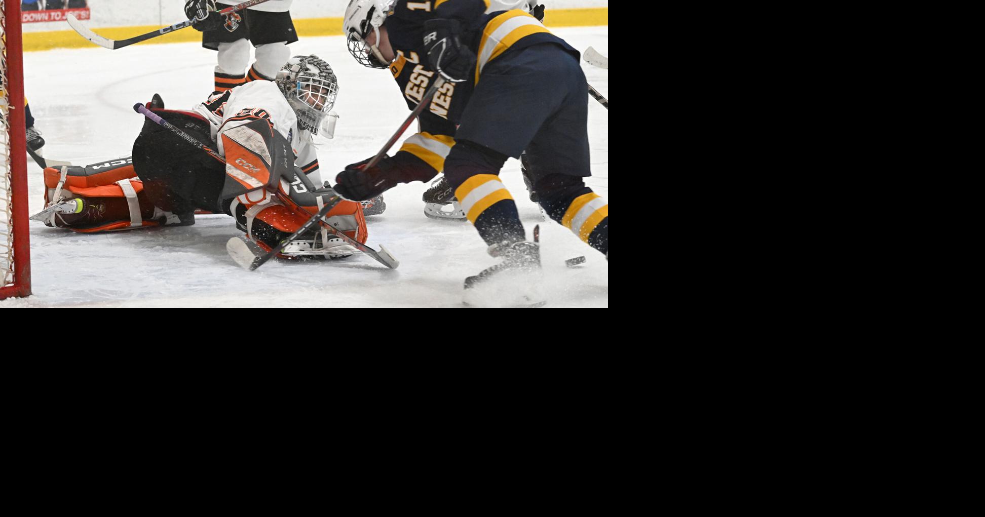 PHOTOS: The Rome Free Academy hockey team skates to 2-2 tie with West ...