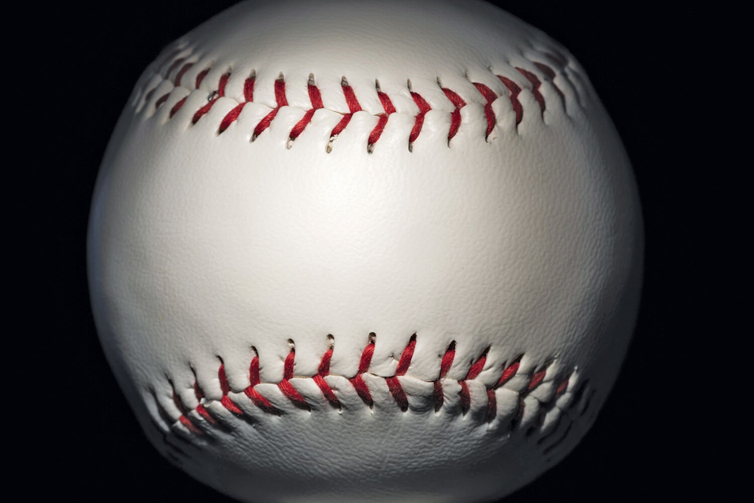 NYS softball hall of fame adds two from Section III | Sports | romesentinel.com